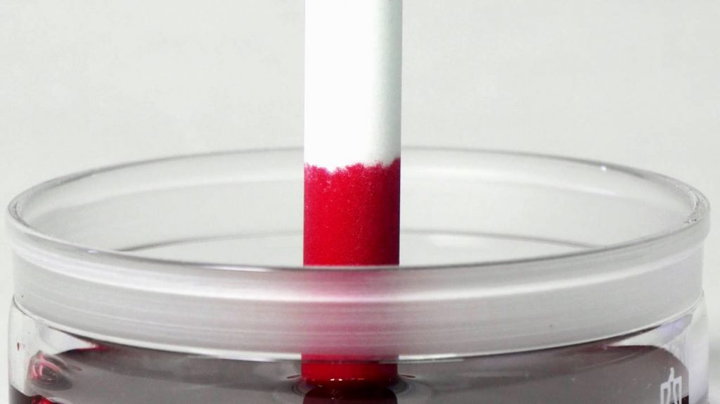 kapillartransport | Siperm